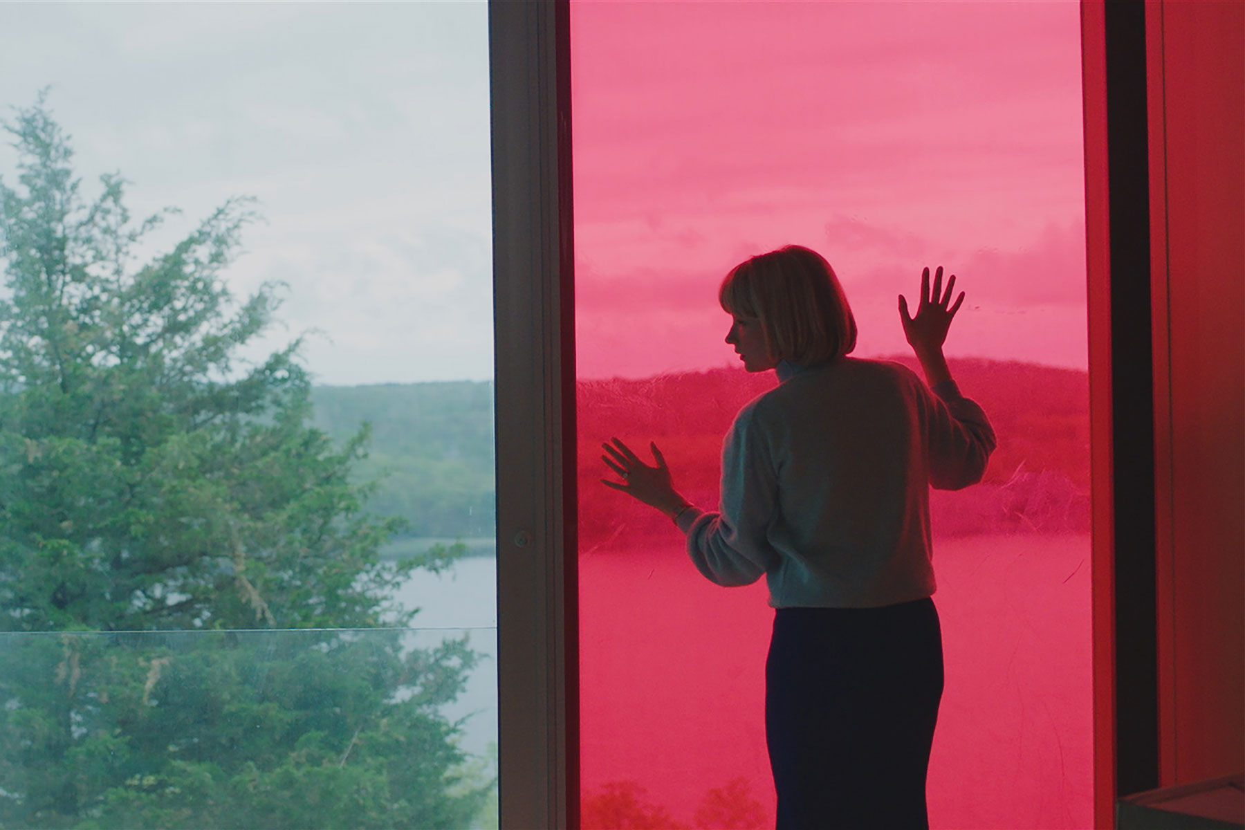 Swallow (2019) - kritika • Hessteg